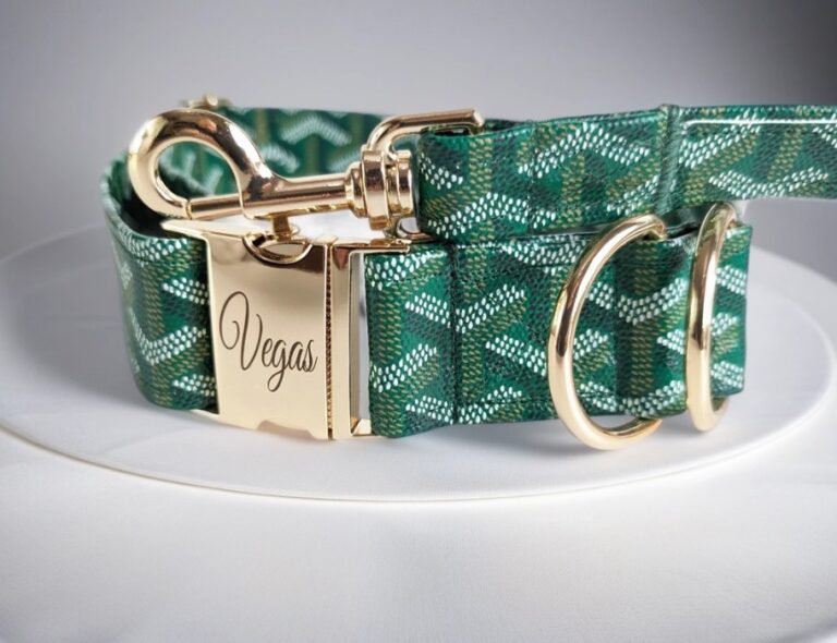 The Rise of Designer Dog Collars ─ Trends and Fashion Tips for Chic ...